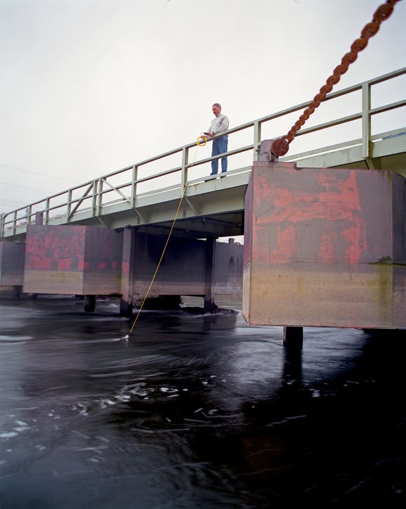 IntelliCAL LDO101 Field Luminescent/Optical Dissolved Oxygen (DO ...